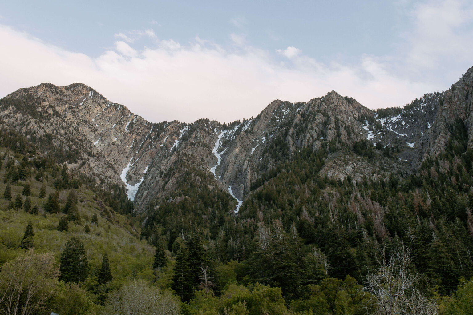 Mountain Elopement in Utah's Wasatch Range - briparkinphotography.com